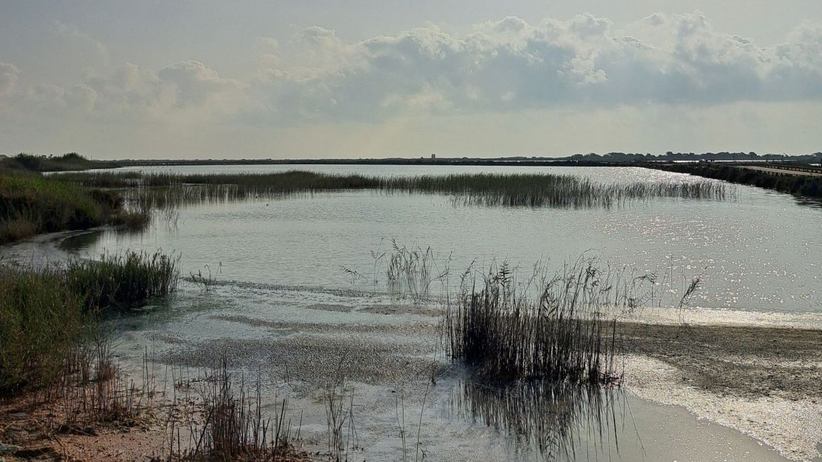 Madre – Con las manos en las letras