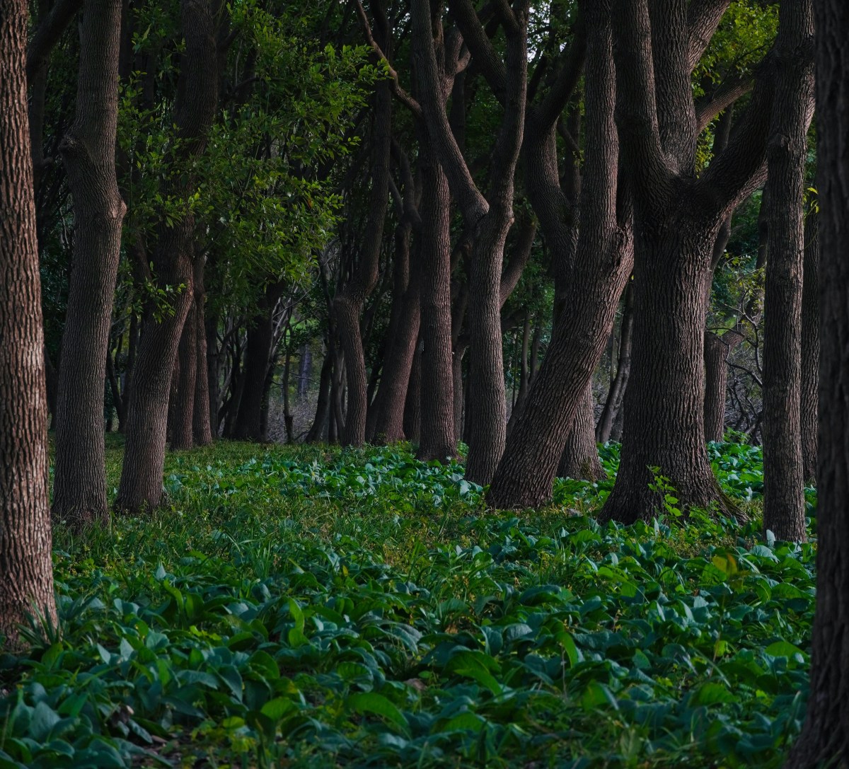 Notas al margen – Con las manos en las letras